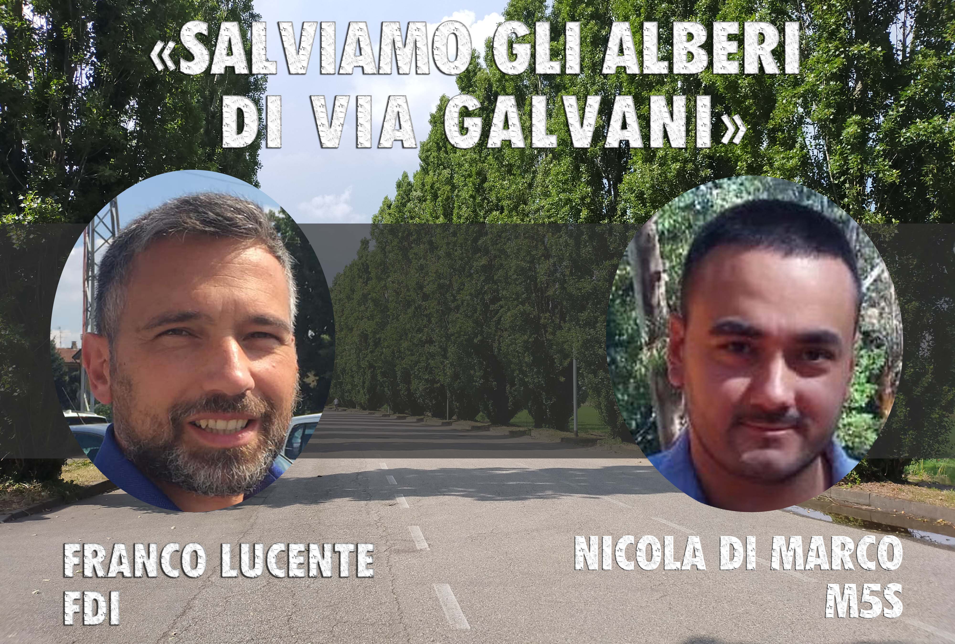 Lucente, Di Marco, il salvataggio dei 240 alberi di Peschiera unisce i due consiglieri regionali ...