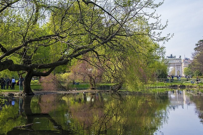 Milano, tornano le passeggiate botaniche con le Guardie Ecologiche: 11 ...